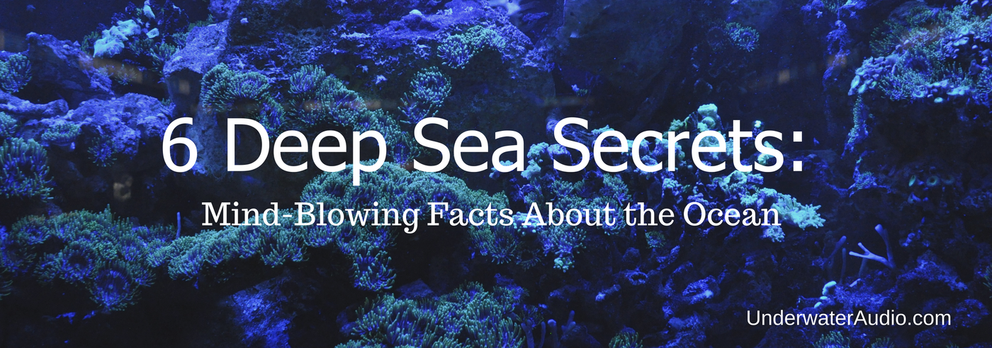 6 Deep Sea Secrets: Mind-Blowing Facts About the Ocean - Underwater Au